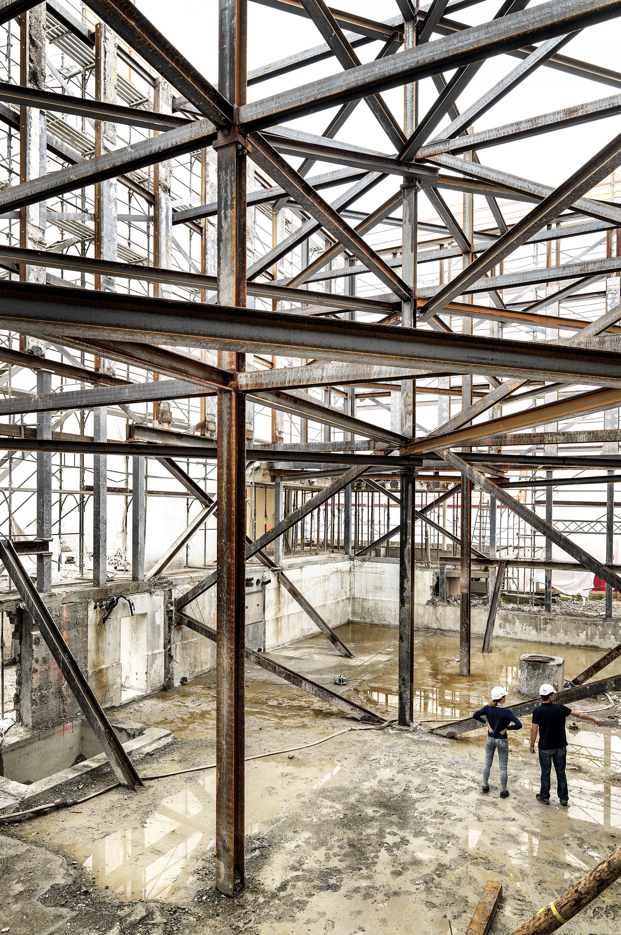 Hauser Imaging – Spleiss