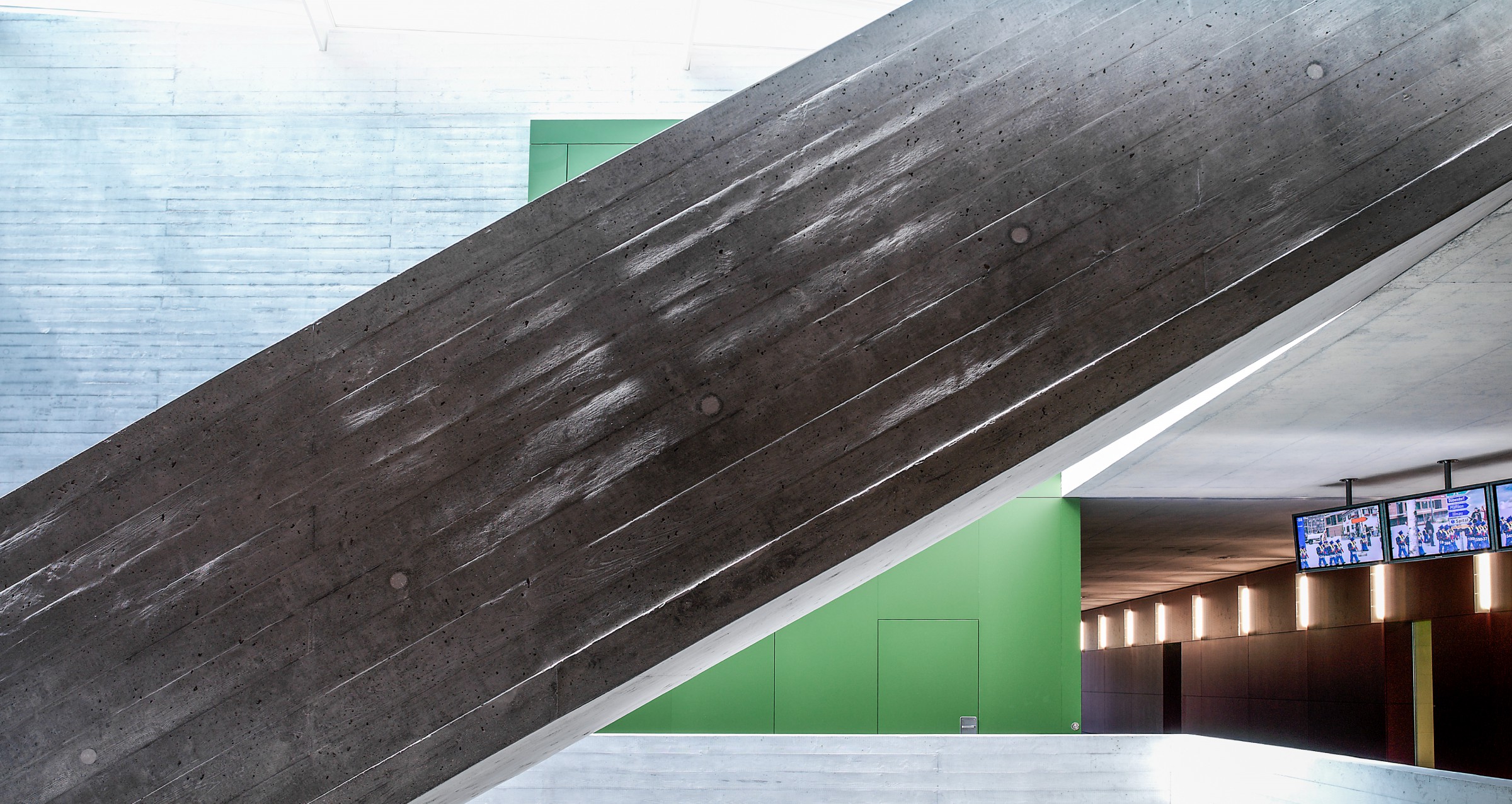 Hauser Imaging – Spleiss