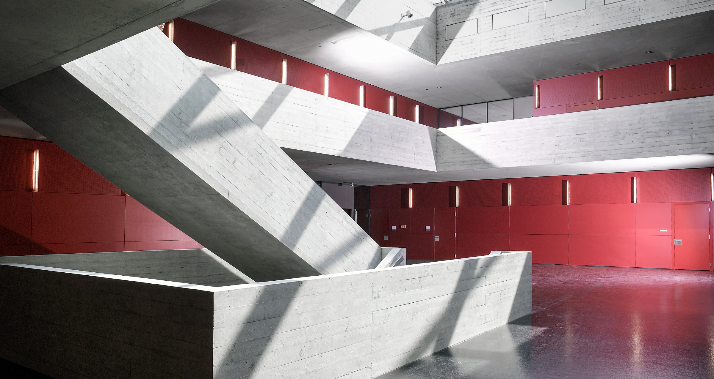 Hauser Imaging – Spleiss