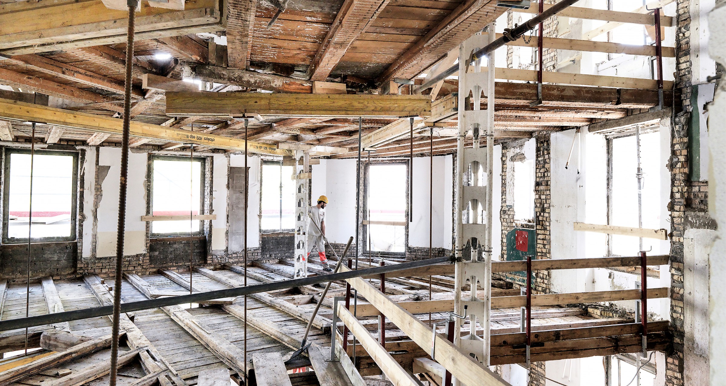 Hauser Imaging – Spleiss