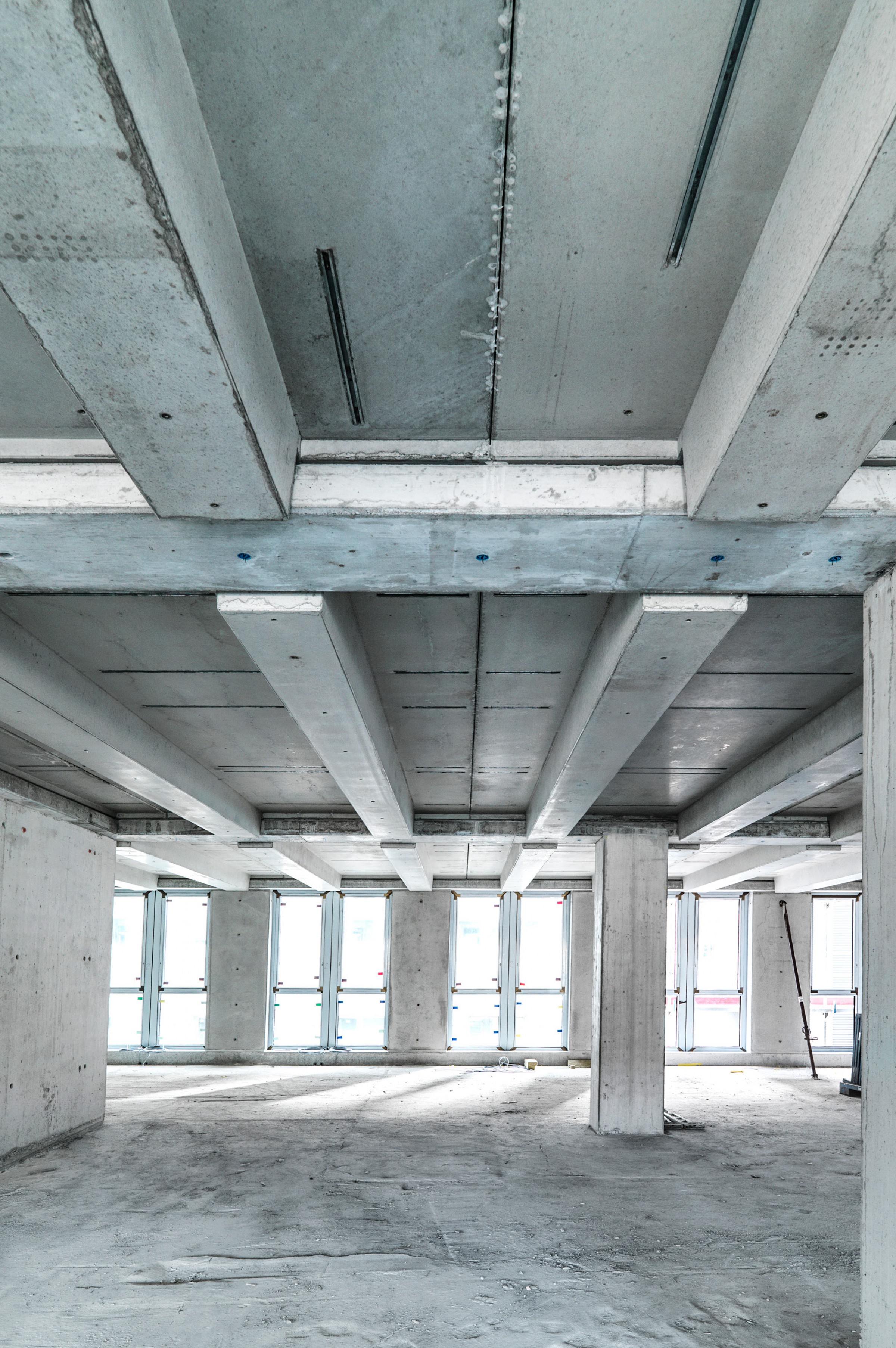 Hauser Imaging – Spleiss