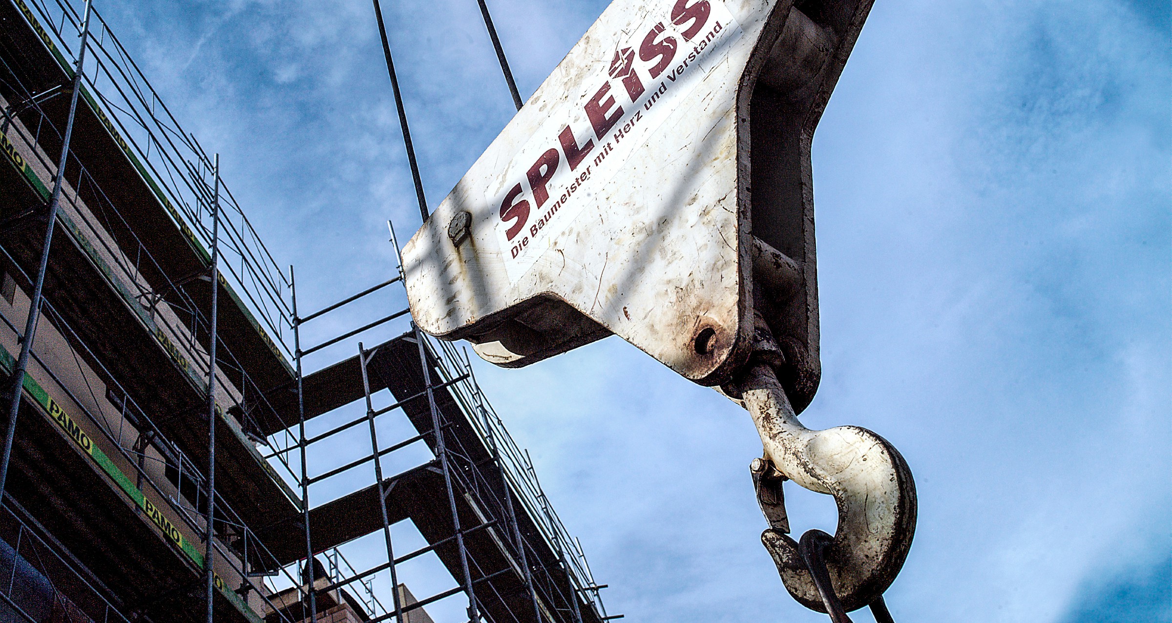 Hauser Imaging – Spleiss